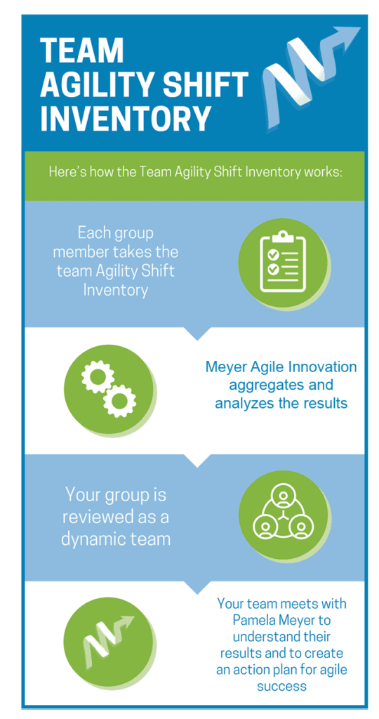 Team Agility Shift Process : Meyer Agile Innovation